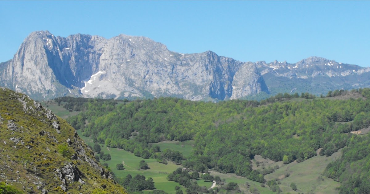 NATURALEZA. Visitamos el Parque Natural del Ponga (Asturias) | La ...