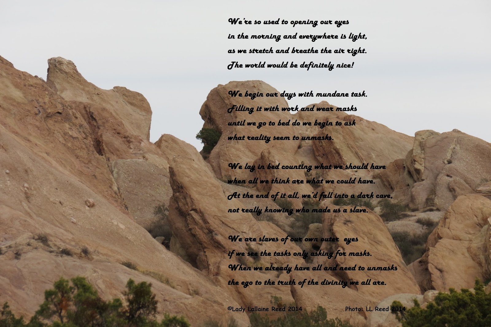 Lady Lallaine Reed's Positive