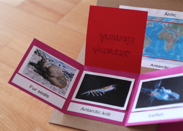 Mum in the making: Monday Made: Polar Animals lapbook