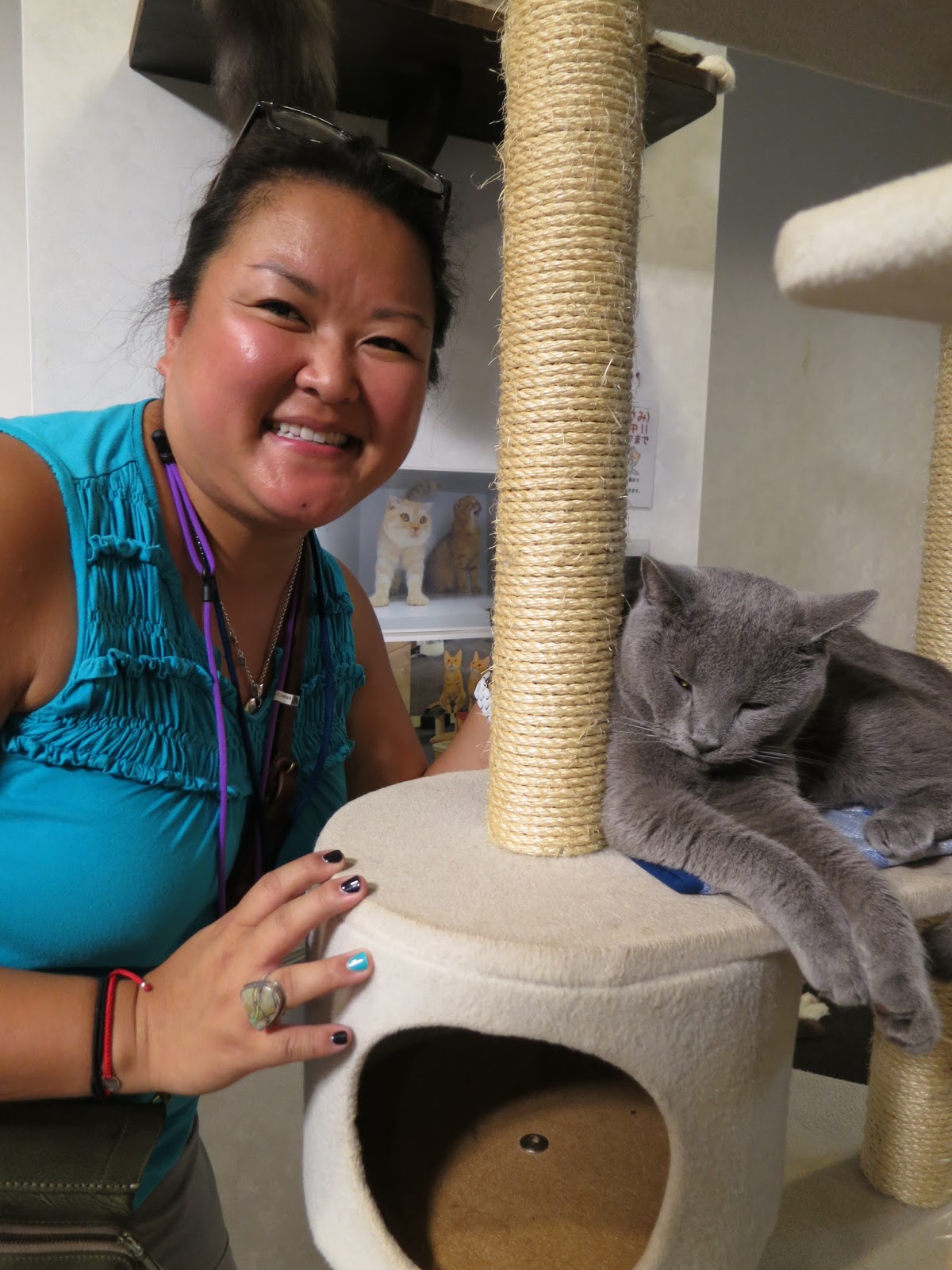 Kim Kim's Far East Adventures: Just Cats....