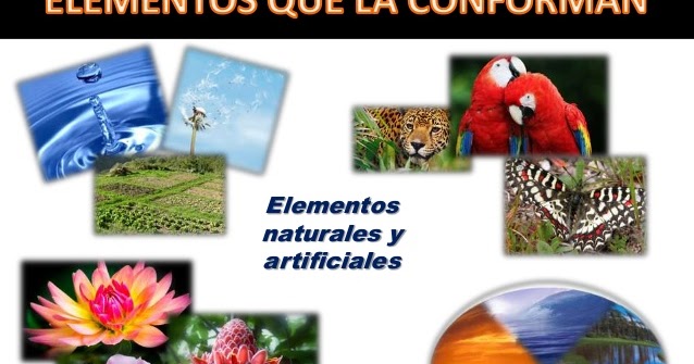 Medio Ambiente: Qué Elementos lo Conforman.