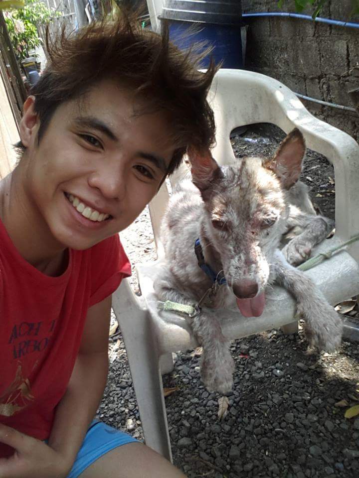 Asong gala at galisin noon, isang napakagandang aso na ngayon - The ...