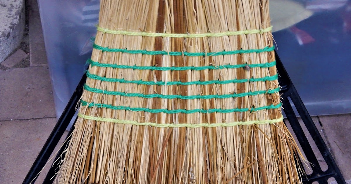 Little Darwin: NEW BROOM SWEEPS WITH LIZARD