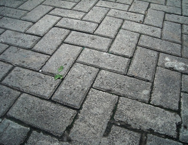 13 Jenis-Jenis Paving Block, Mana Yang Anda Butuhkan? | Pengadaan ...