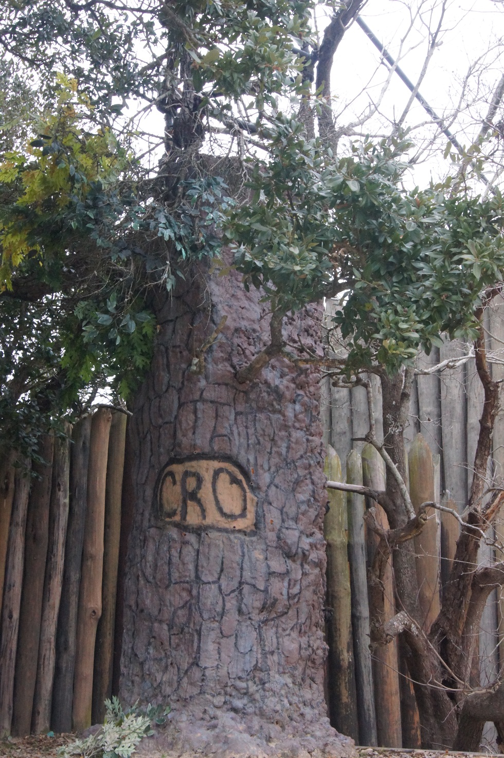 Unique Picture Around the World: The Abandoned Colony of Roanoke