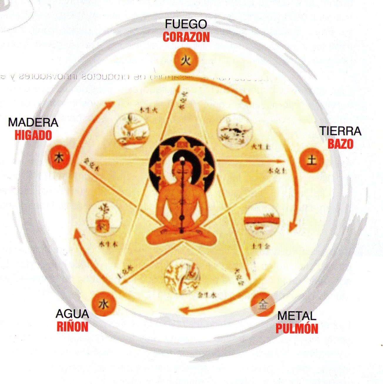Teoría de los 5 Elementos