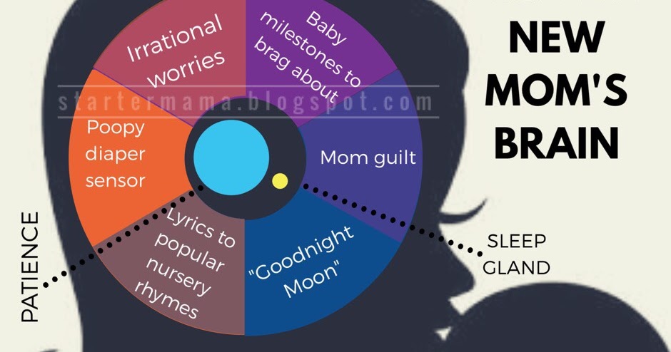 Mapping The Maternal Brain - Starter Mama