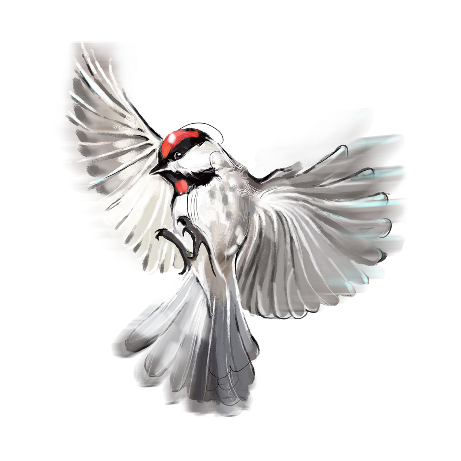 Png bird For picsart editing