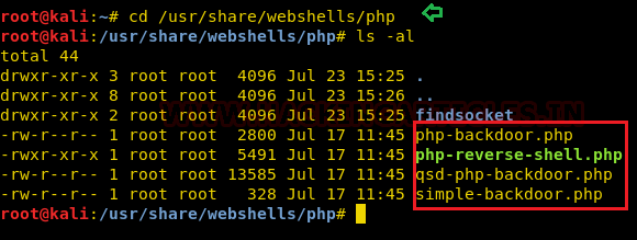 Web Shells Penetration Testing Hacking Articles