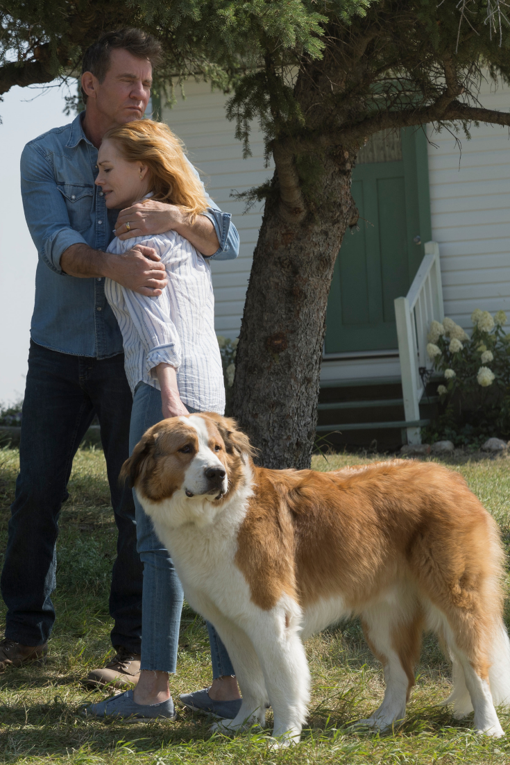 MOMMY BLOG EXPERT: A Dog's Journey Movie Giveaway Recipe Review