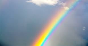 Walking in the Light : Genesis 8 - 9:1-17