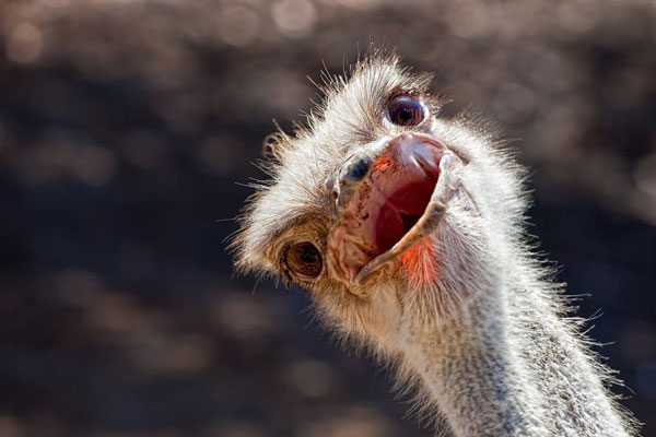 Crazy Pictures: Cool Funny Pictures