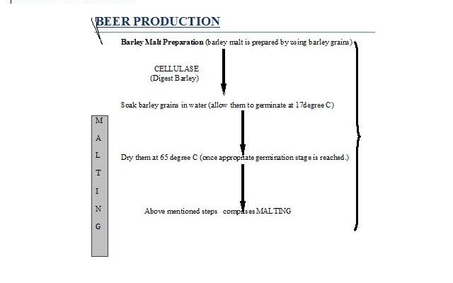 Free Biotechnology Notes: BEER (Schematic Representation)