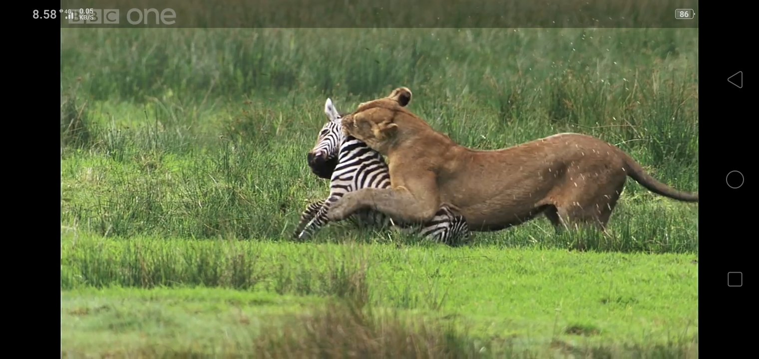 POLA INTERAKSI PADA MAKHLUK HIDUP : SIMBIOSIS, KOMPETISI DAN PREDASI | JDSK