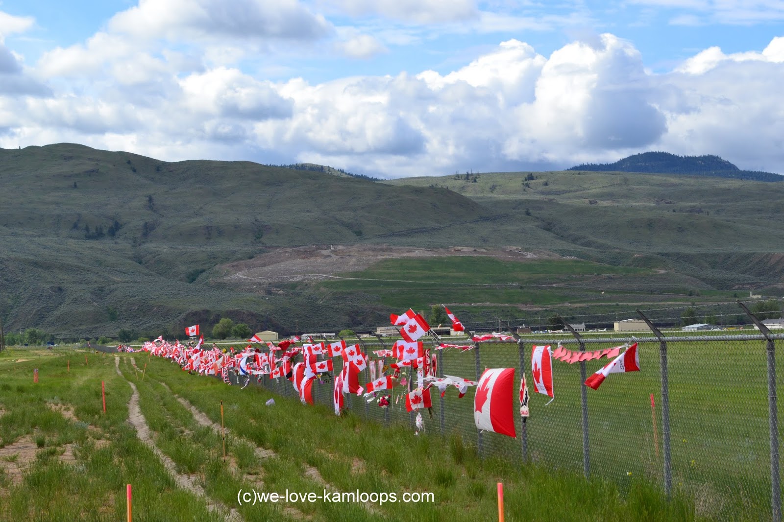 we-love-kamloops: RCAF Snowbirds - Tributes - Kamloops, BC