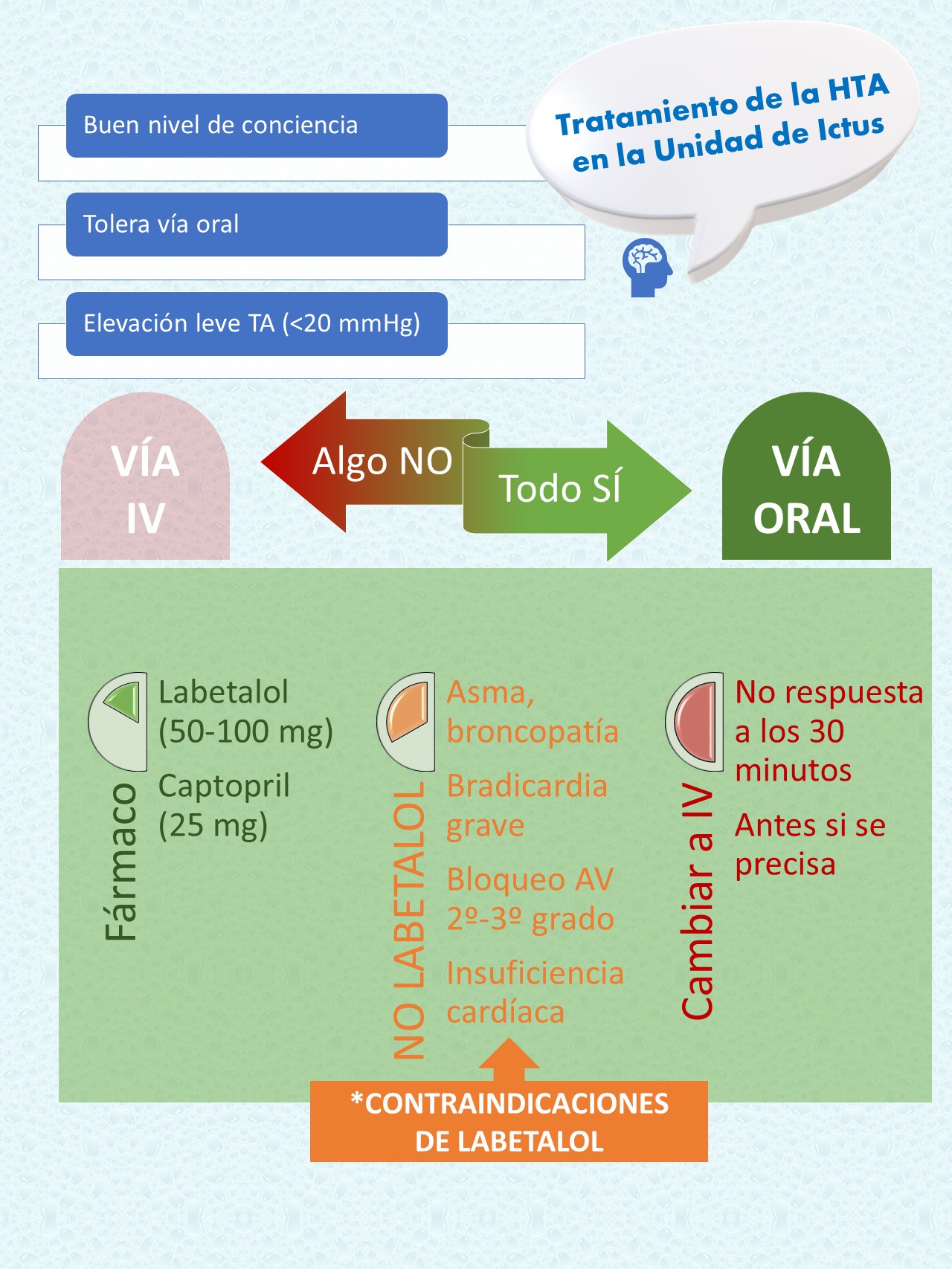 3.1.1 Hipertensión arterial.