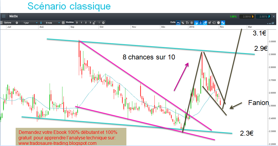 Nicox dessine un fanion | TRADOSAURE TRADING