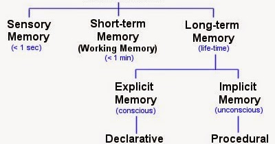 Mr. Cantor's AP Psychology Blog: Unit 1 Chapter 7... MEMORY!!