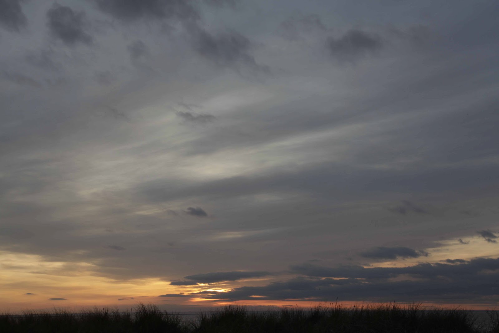 Tracy's OCA Blog: Exercise 12. Positioning the Horizon.