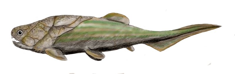 Palaeocritti Blog: December 2013