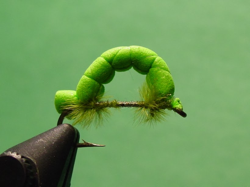 Tradd's Flies: Inch Worm