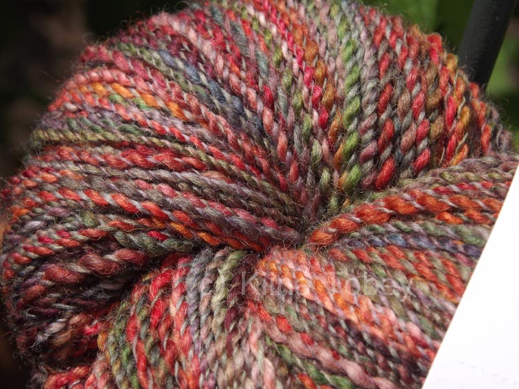 Pieceful Slumber: Indian Corn Yarn
