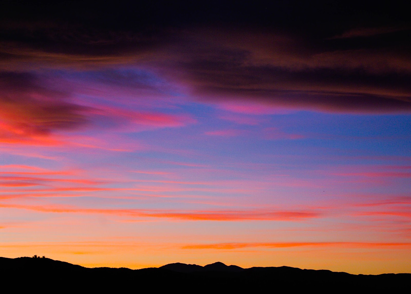 Danny Benzel Nature and Conservation Photography