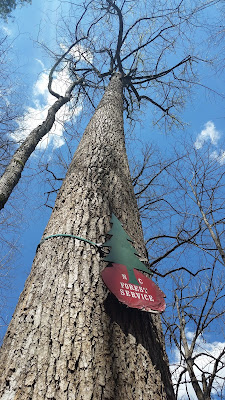 Life as a Homeschool Mom: Holmes Educational Forest