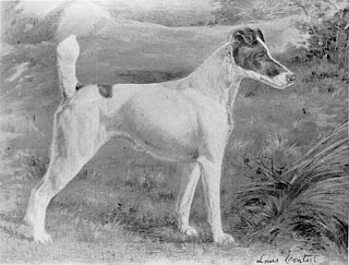 Famous Dogs in History: Warren Remedy: First Best in Show Champion