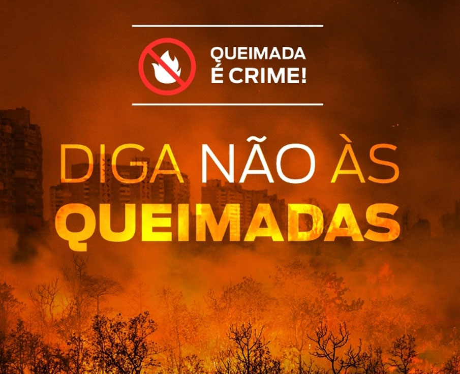 Portal Freelance 24 Horas Ibama Promove Campanha Contra Queimadas