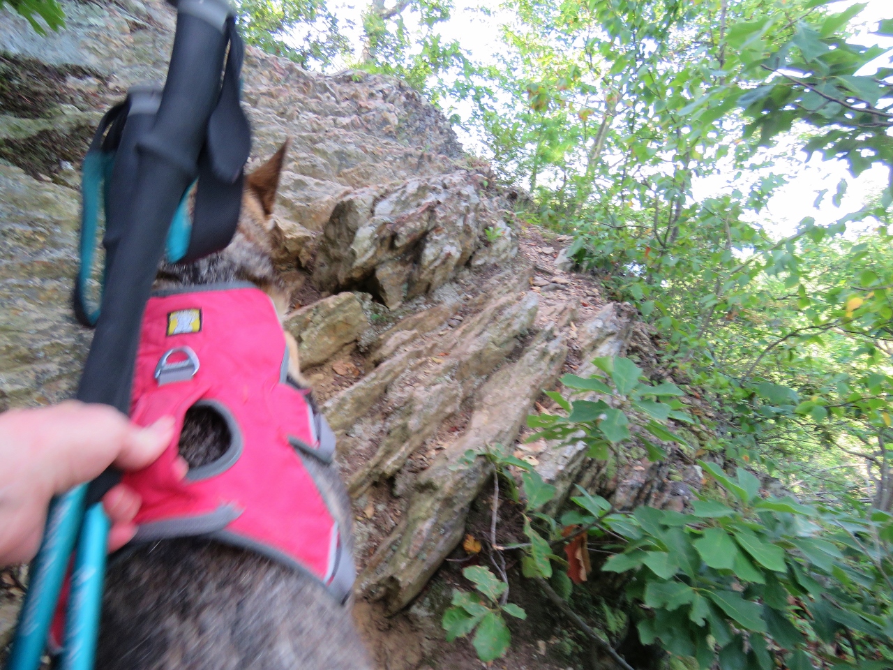 Gone Hikin': Fahnestock State Park, NY - Canopus Lake