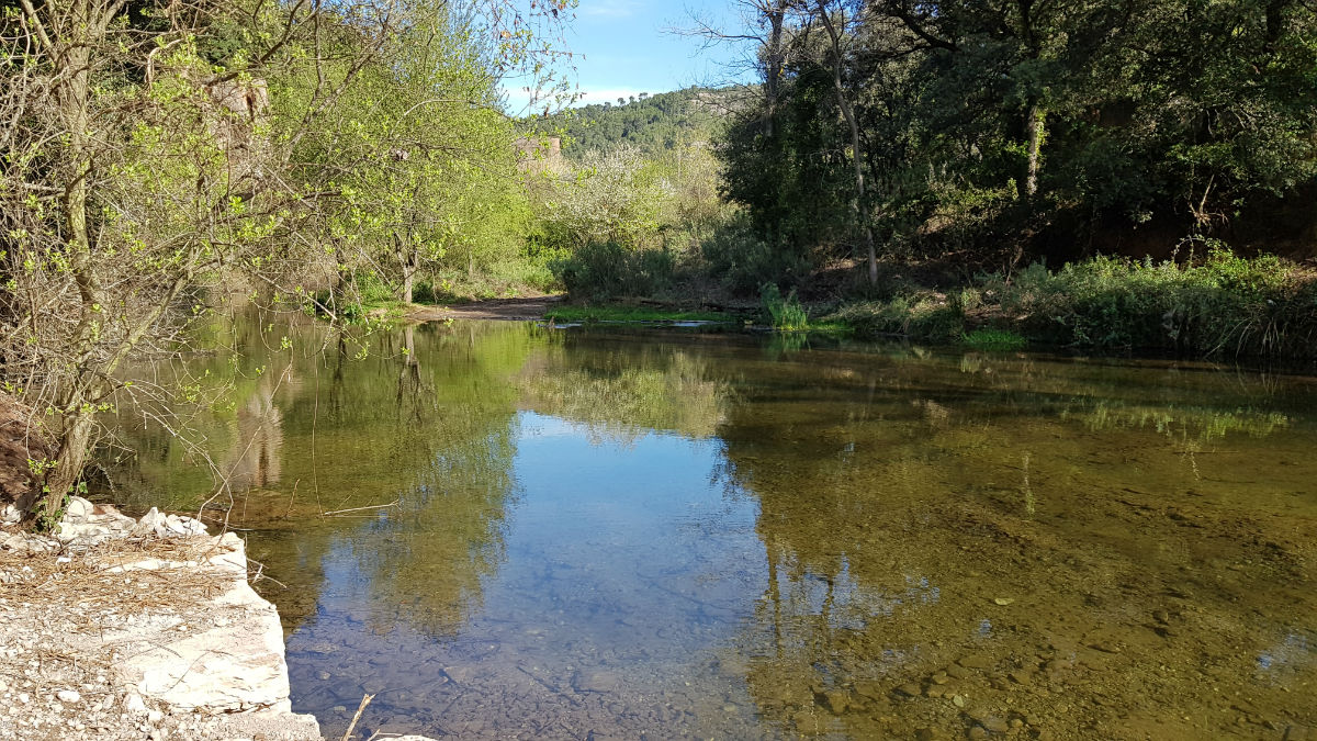 A una chapa del cielo: El Riu Ripoll por Castellar del Vallès