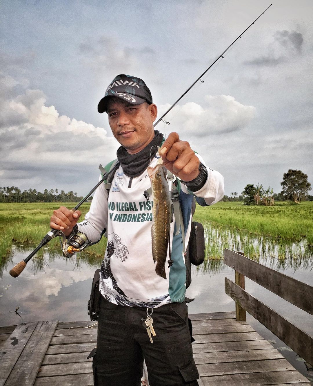 Ikan Toman Terbesar - Perumperindo.co.id