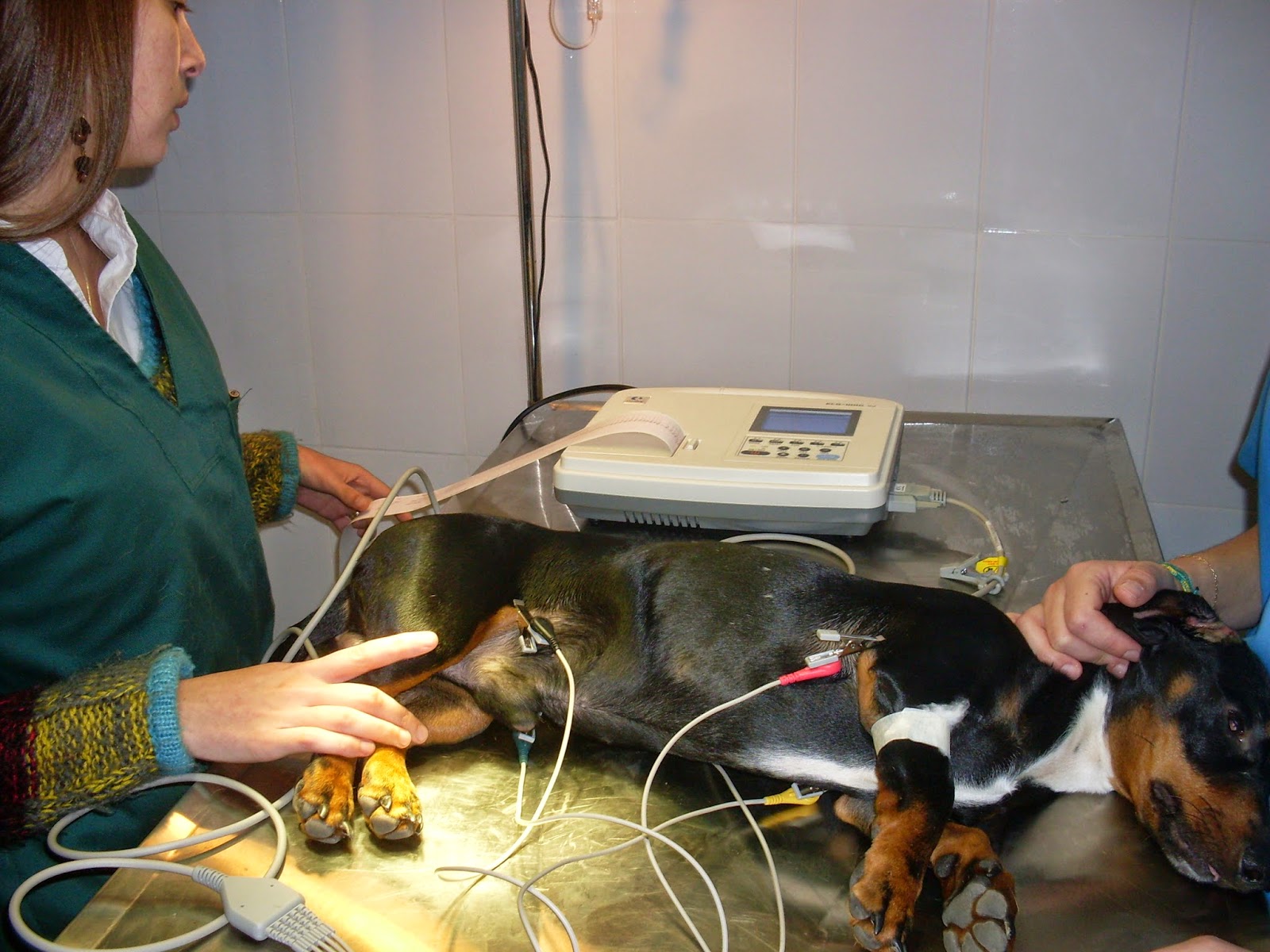 CLINICA Y LABORATORIO VETERINARIO DIAGNOPET de Melipilla