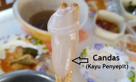 Anim Agro Technology: MAKANAN 'LINUT' - APA DIA?