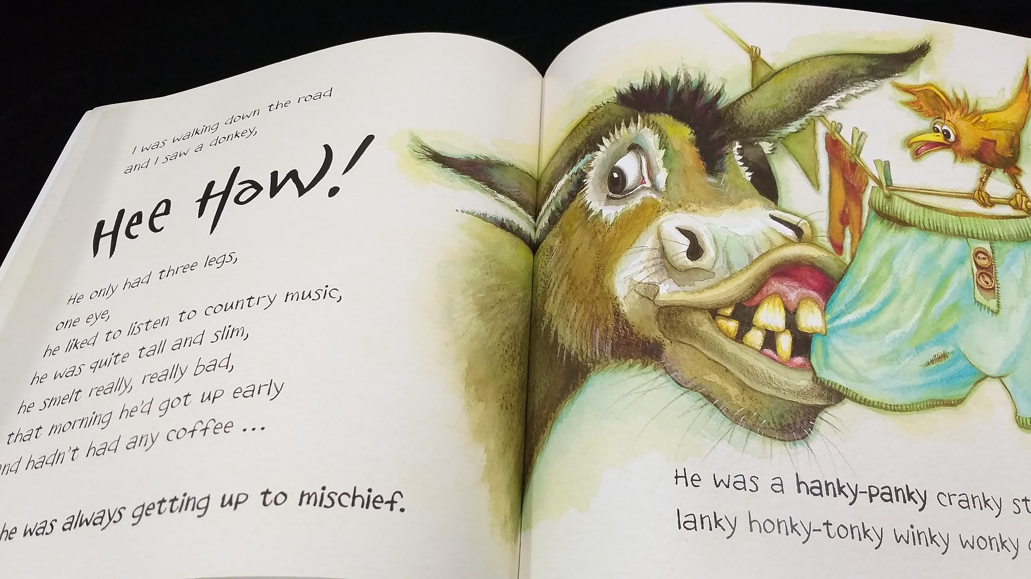 Kid Books Blog: 128.The Wonky Donkey / The Dinky Donkey