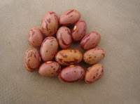 How farmers can double their bean yield production