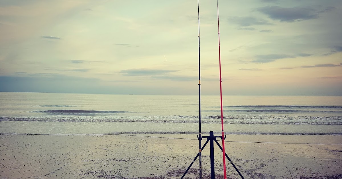 Fish Hooked: Thornback Ray Fishing, Hythe Ranges