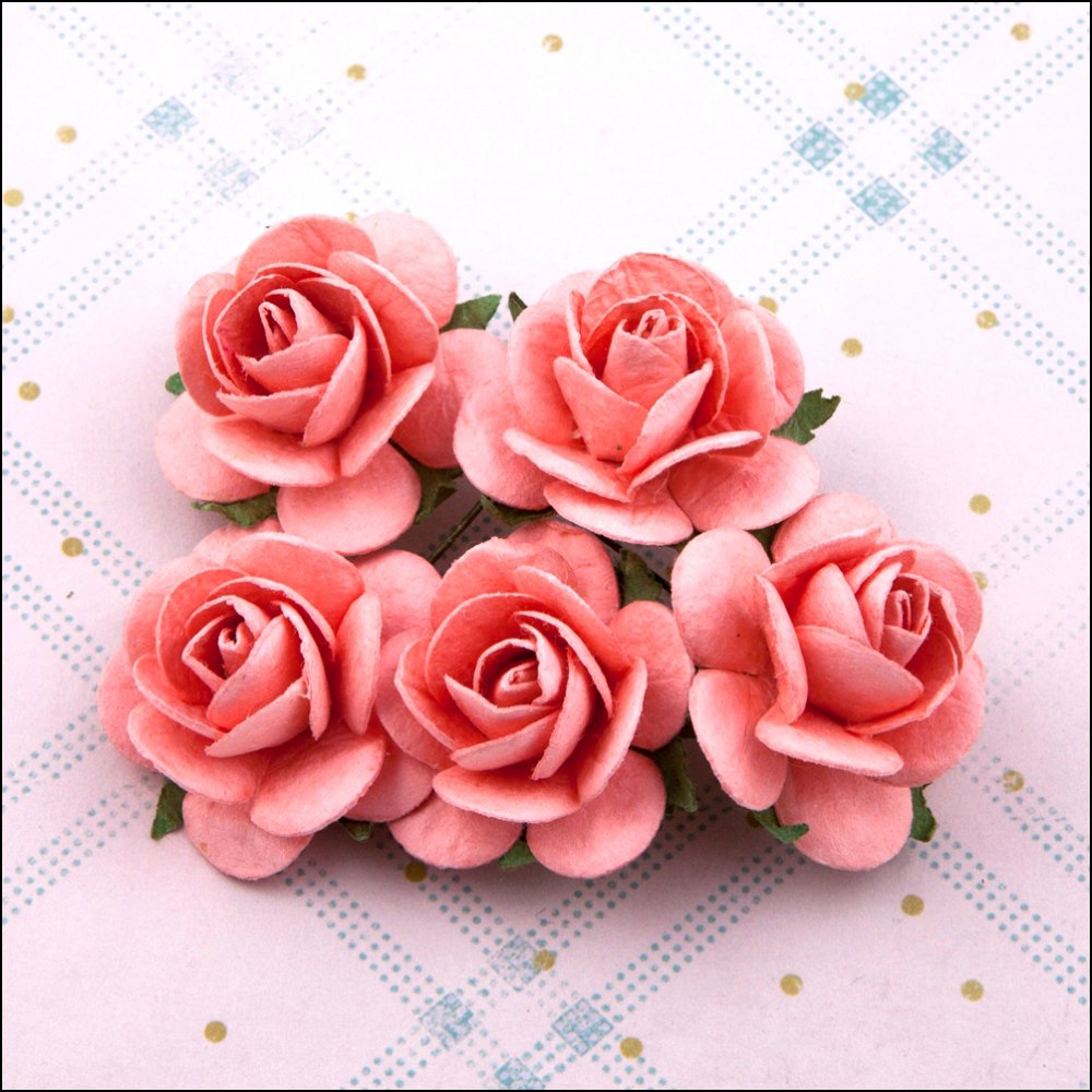 Craft Maniacs Beautiful Paper Roses Craft Maniacs Beautiful Paper Roses