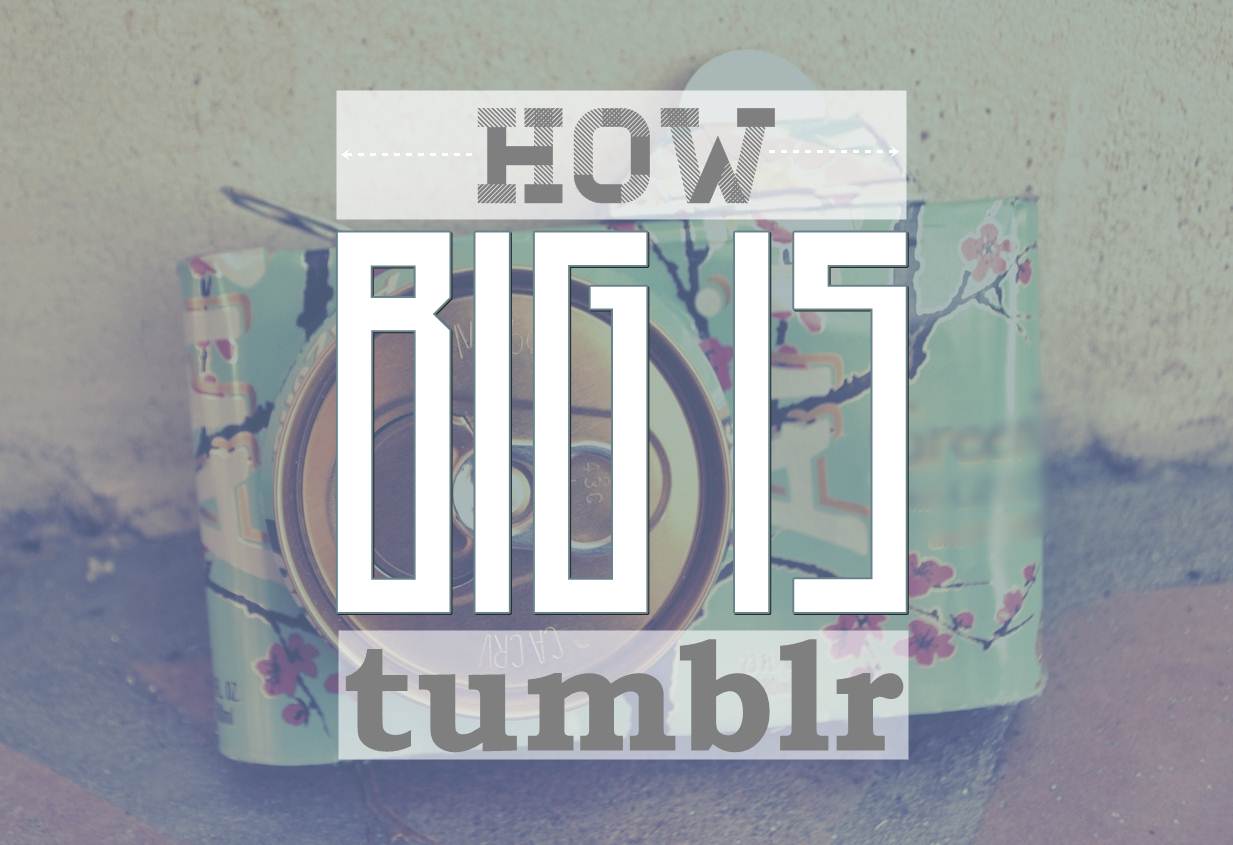 The Numbers Behind Tumblr - infographic / Digital Information World