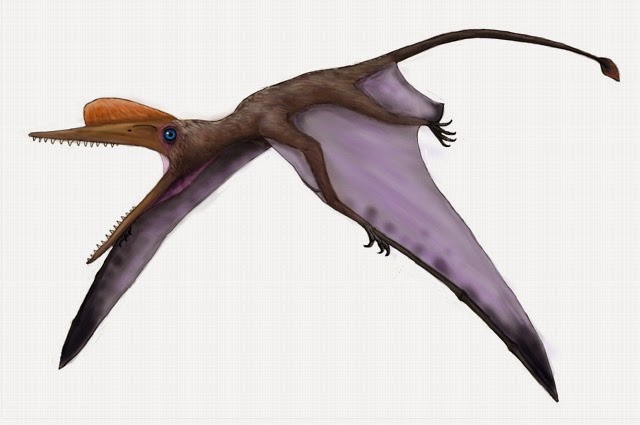「Extinct Creatures」: ダルウィノプテルス Darwinopterus
