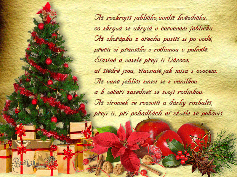 kvetka11: Vánoční přání