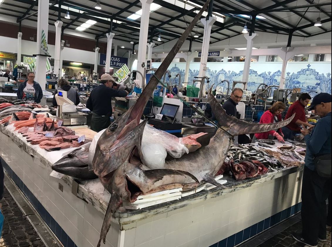 Receitas de Portugal: Mercado de peixe de Setúbal é um dos melhores do ...