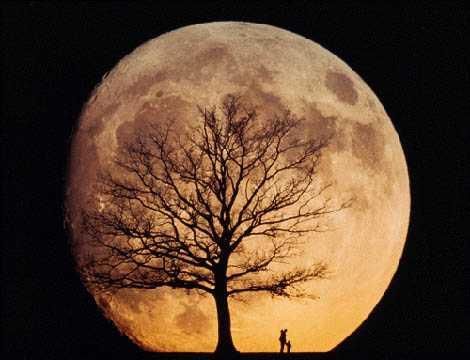 Full Moon Fire Ceremony - Biggest moon in 70 years | Holistic Living ...