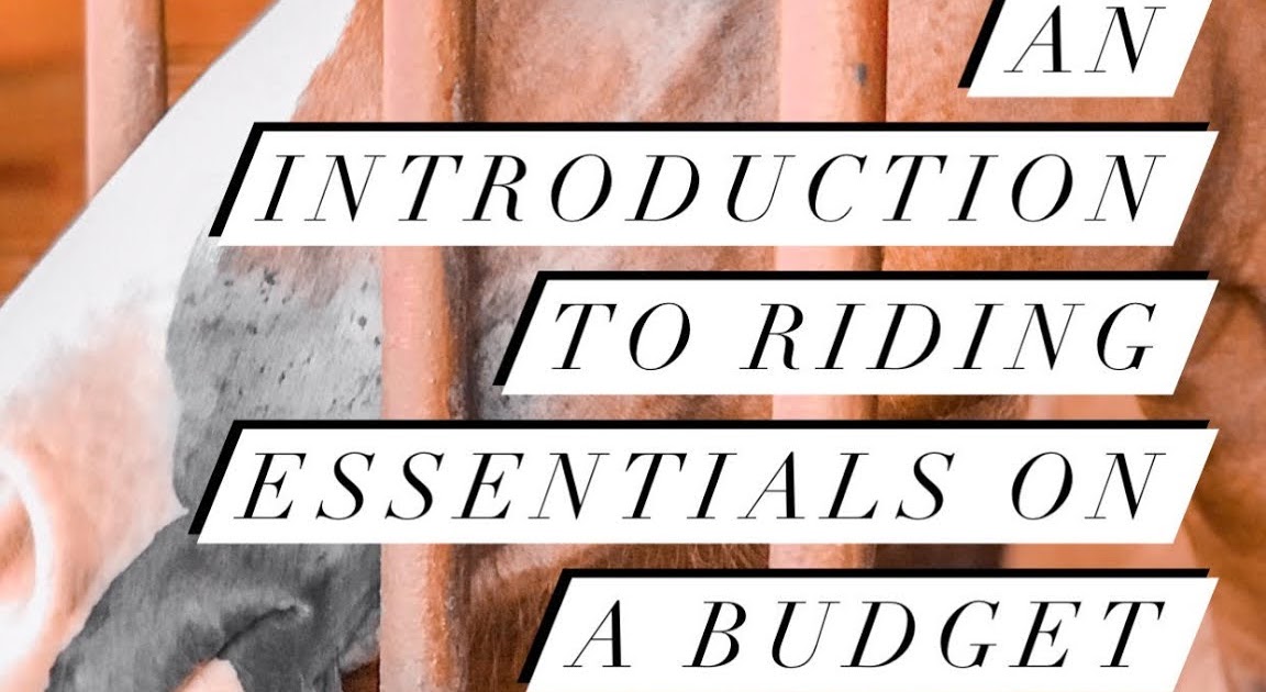 An Introduction to Riding Essentials on a Budget