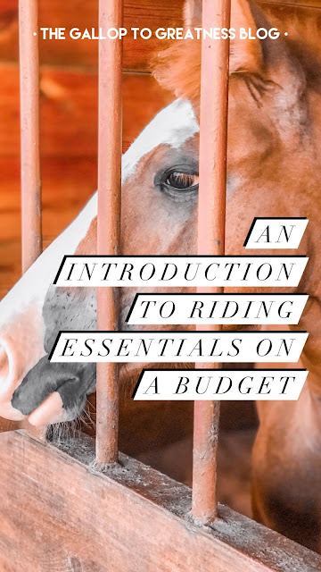An Introduction to Riding Essentials on a Budget