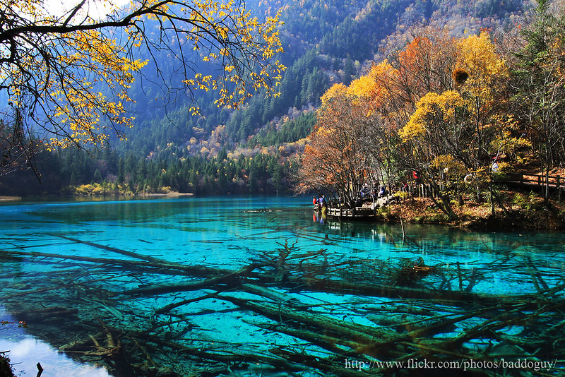 Five Flower Lake – Jiuzhaigou