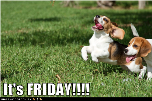 Adrienne's Corner: It's Friday...