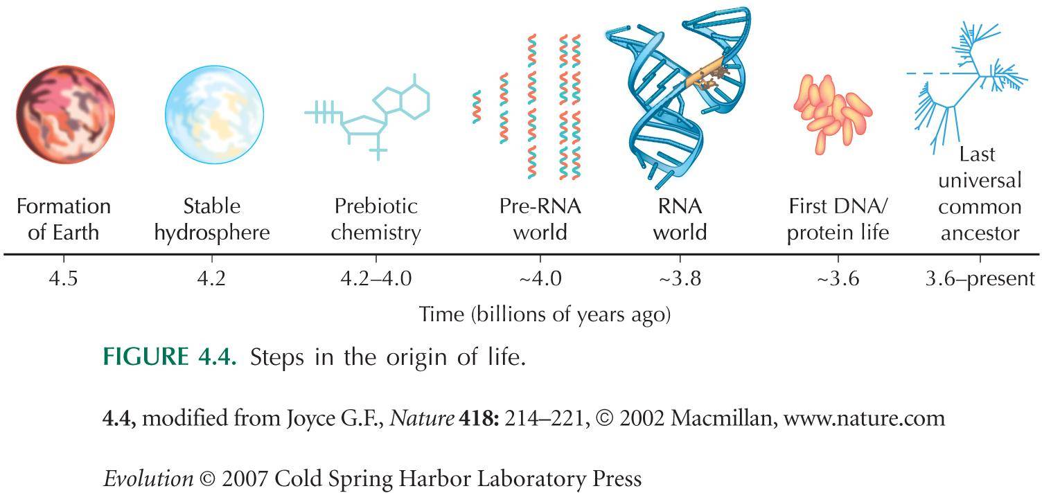Journal of biocell student