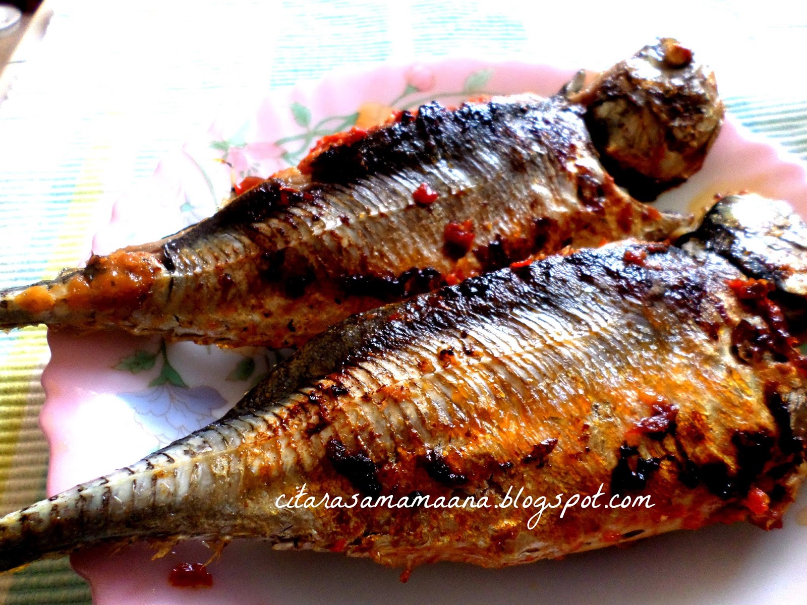 .: IKAN CENCARU SUMBAT VERSI BAKAR